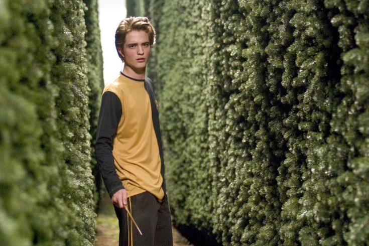 10 Most Famous Hufflepuff Characters in Harry Potter - Fantasy Topics