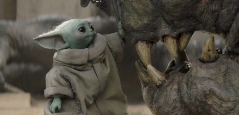Yoda and Grogu Species Explained: Are They Related?