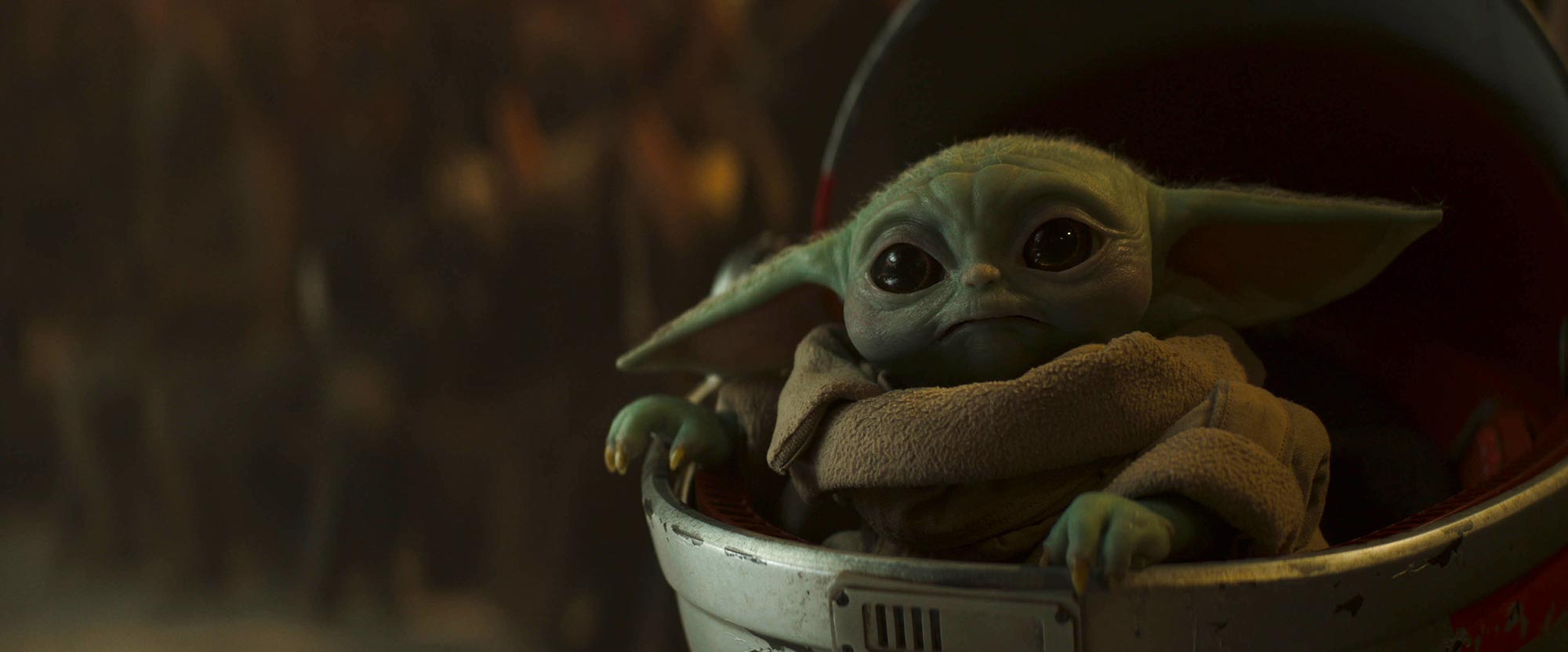 Yoda and Grogu Species Explained: Are They Related?