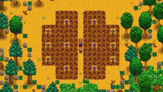 Stardew Valley Sprinkler Types: Layout, Ranges & Setup (with Images)