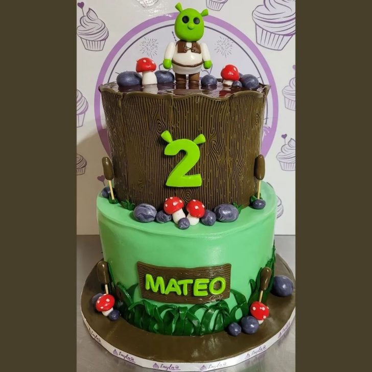 25 Best Shrek Cake Ideas