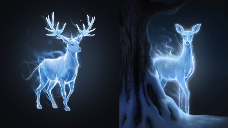 All The Harry Potter Characters and Their Patronuses (with Meanings)