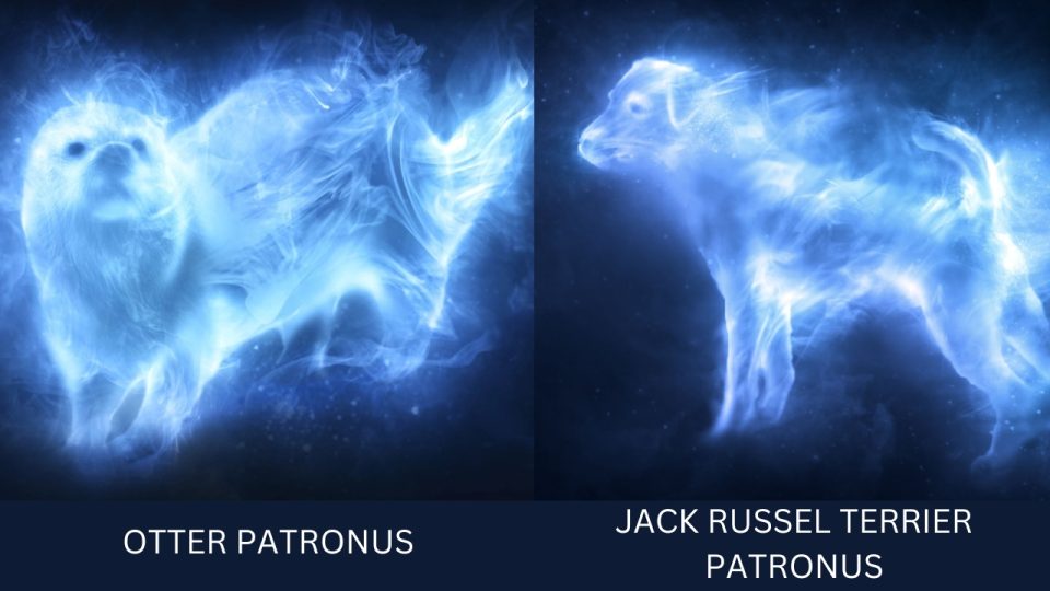 Why Is Hermione Granger’s Patronus an Otter in Harry Potter?