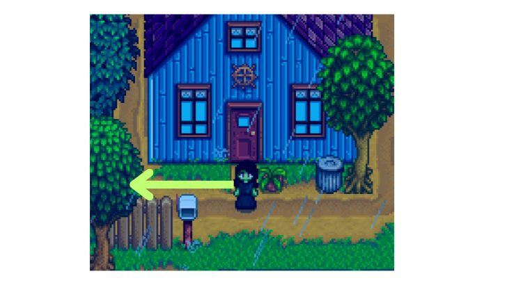 Secret Note 19 Walkthrough and Solution in Stardew Valley