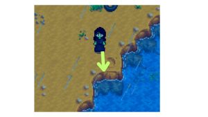 Secret Note 19 Walkthrough and Solution in Stardew Valley