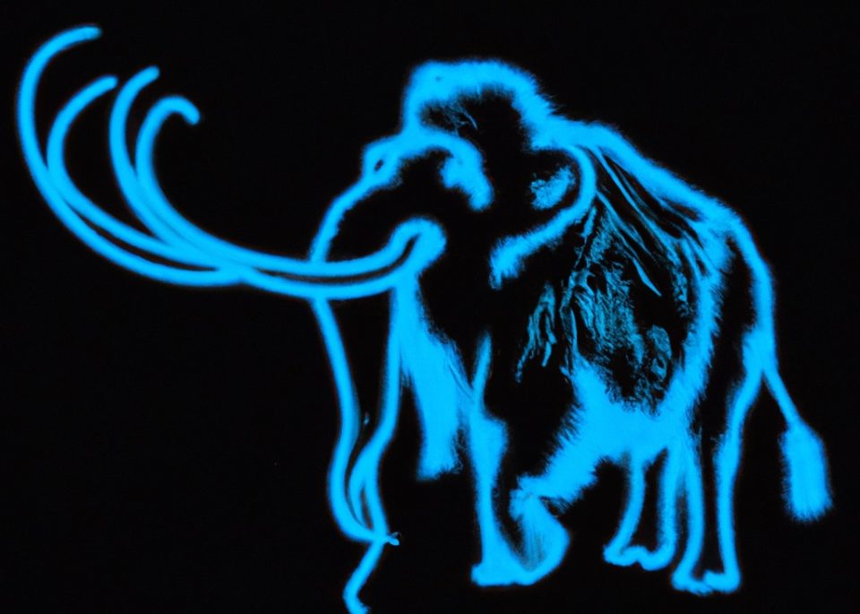 14 Rarest Harry Potter Patronuses Ranked and How To Get Them